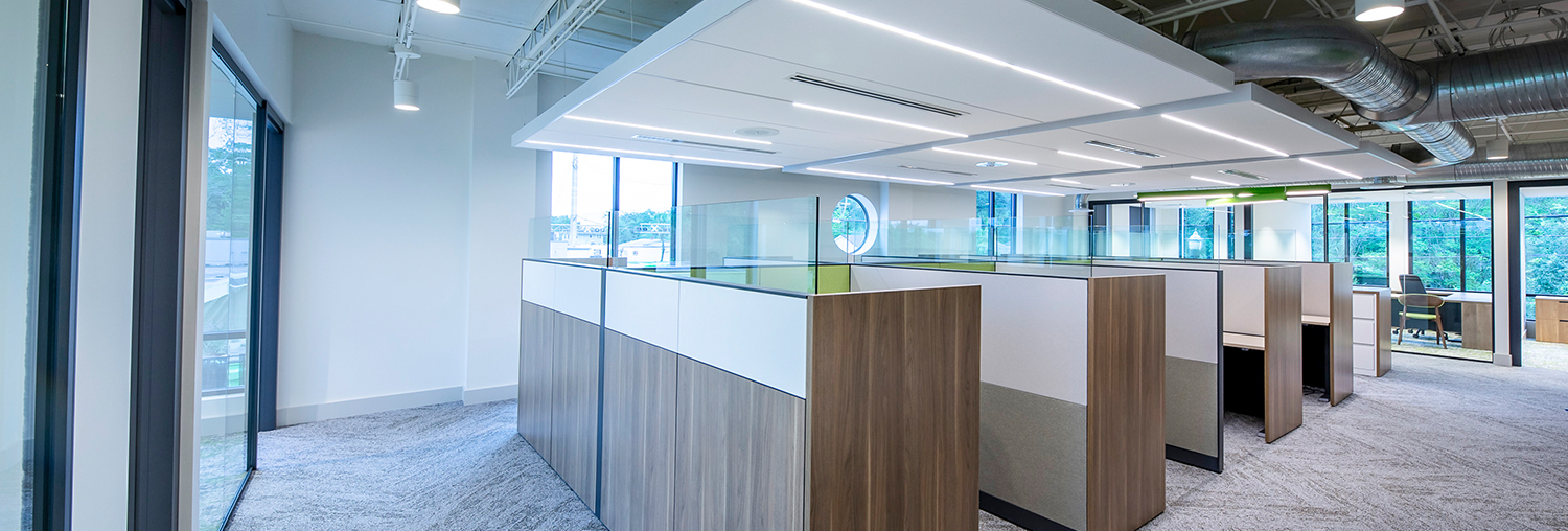 Wellness-focused workplace interior design for Vestcor